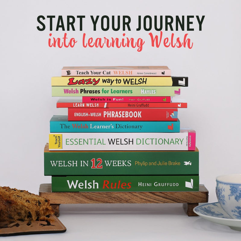 Welsh High Street | Welsh Gifts | Books | Food | Mugs | Red Dragons