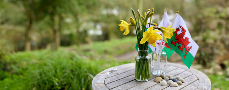 Traditional Welsh Symbols – Welsh High Street