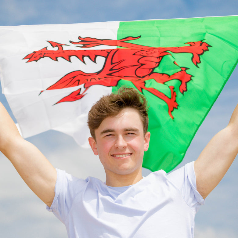 The Story of the Welsh Dragon – Welsh High Street